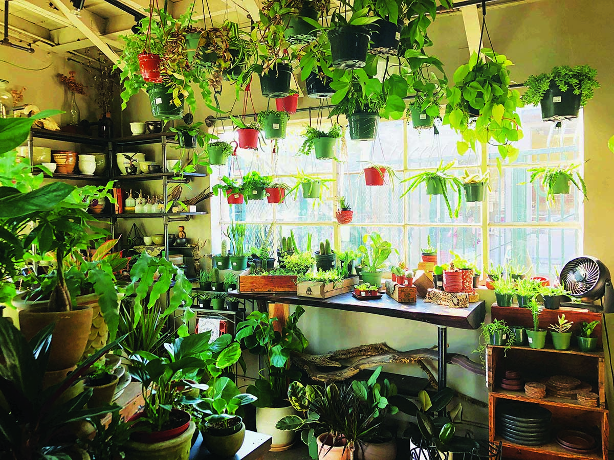 Treasure Hunting: Exploring Temescal Alley - East Bay Magazine