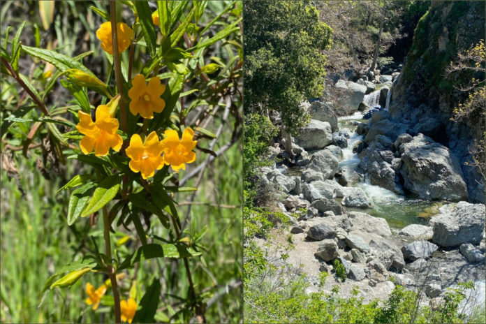 Visiting 'Little Yosemite'